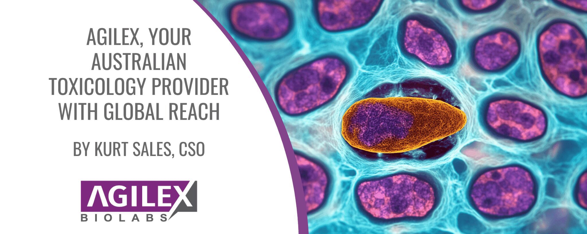 Agilex, your Australian Toxicology provider with global reach - Agilex ...