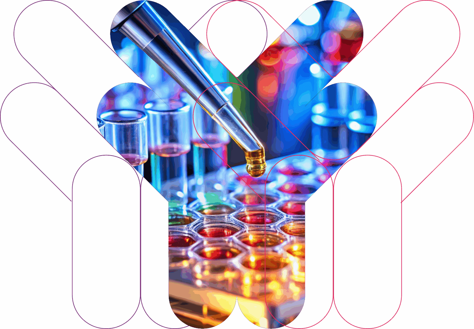 Pharmacokinetics (PK) | Agilex Biolabs