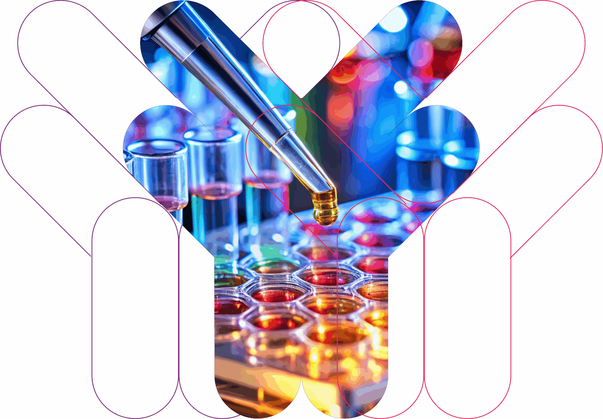 Pharmacokinetics (PK) | Agilex Biolabs